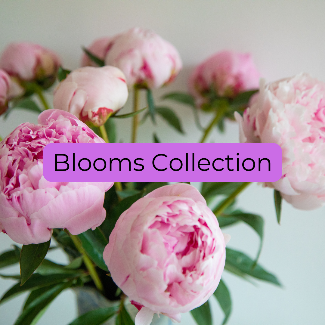 Blooms Collection – Geo Melts
